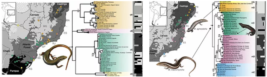 Research – Danielle Rivera
