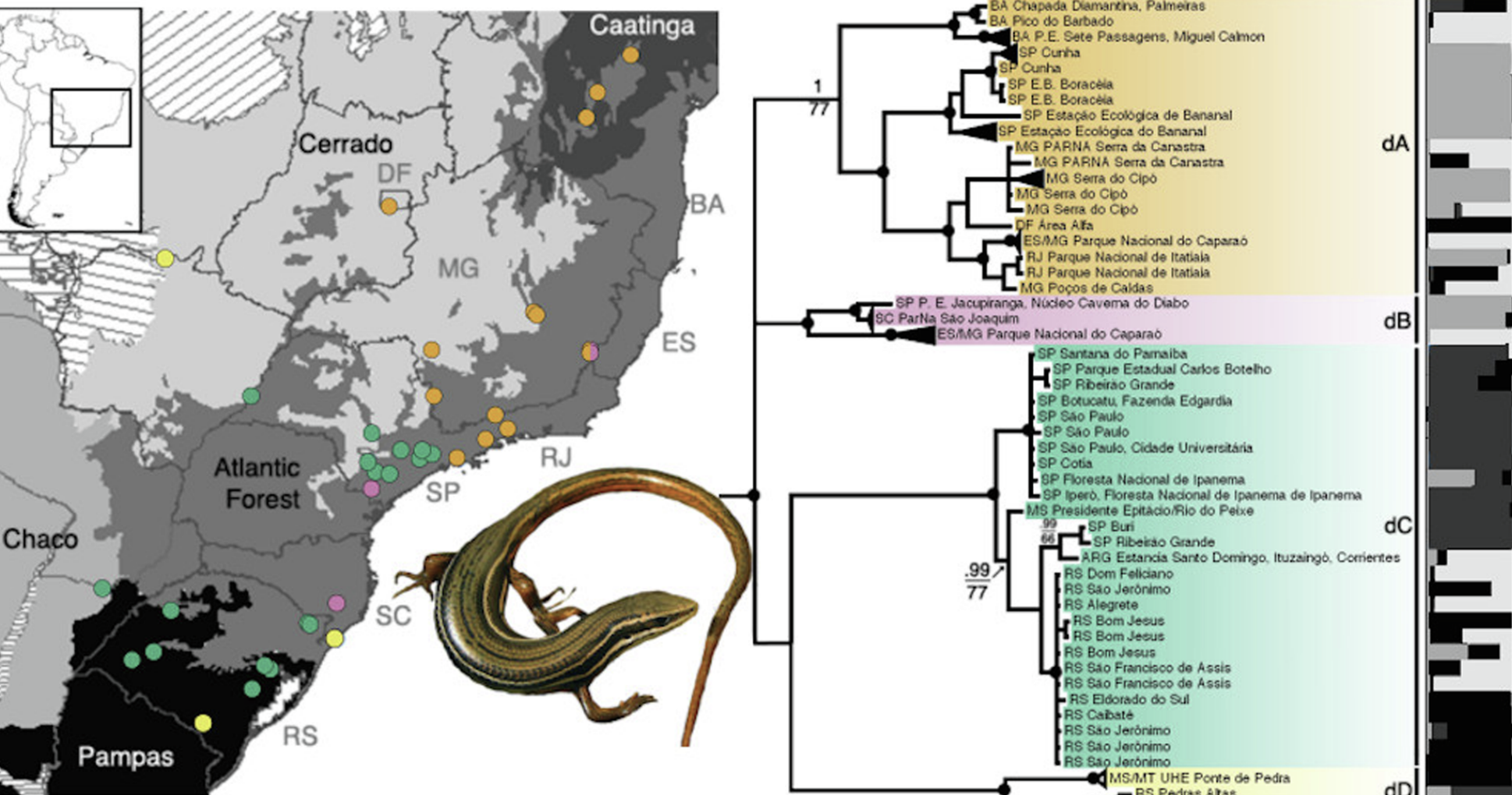 Research – Danielle Rivera