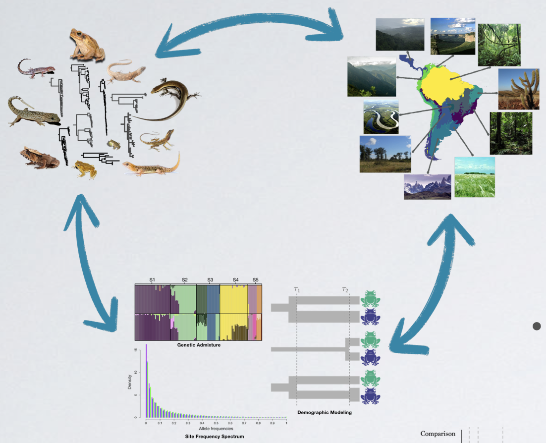 Research – Danielle Rivera