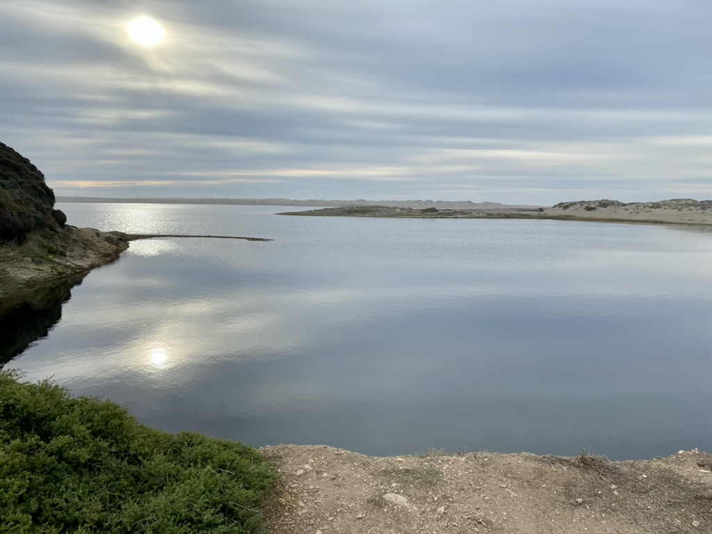 California – Danielle Rivera