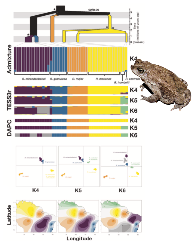 Research – Danielle Rivera